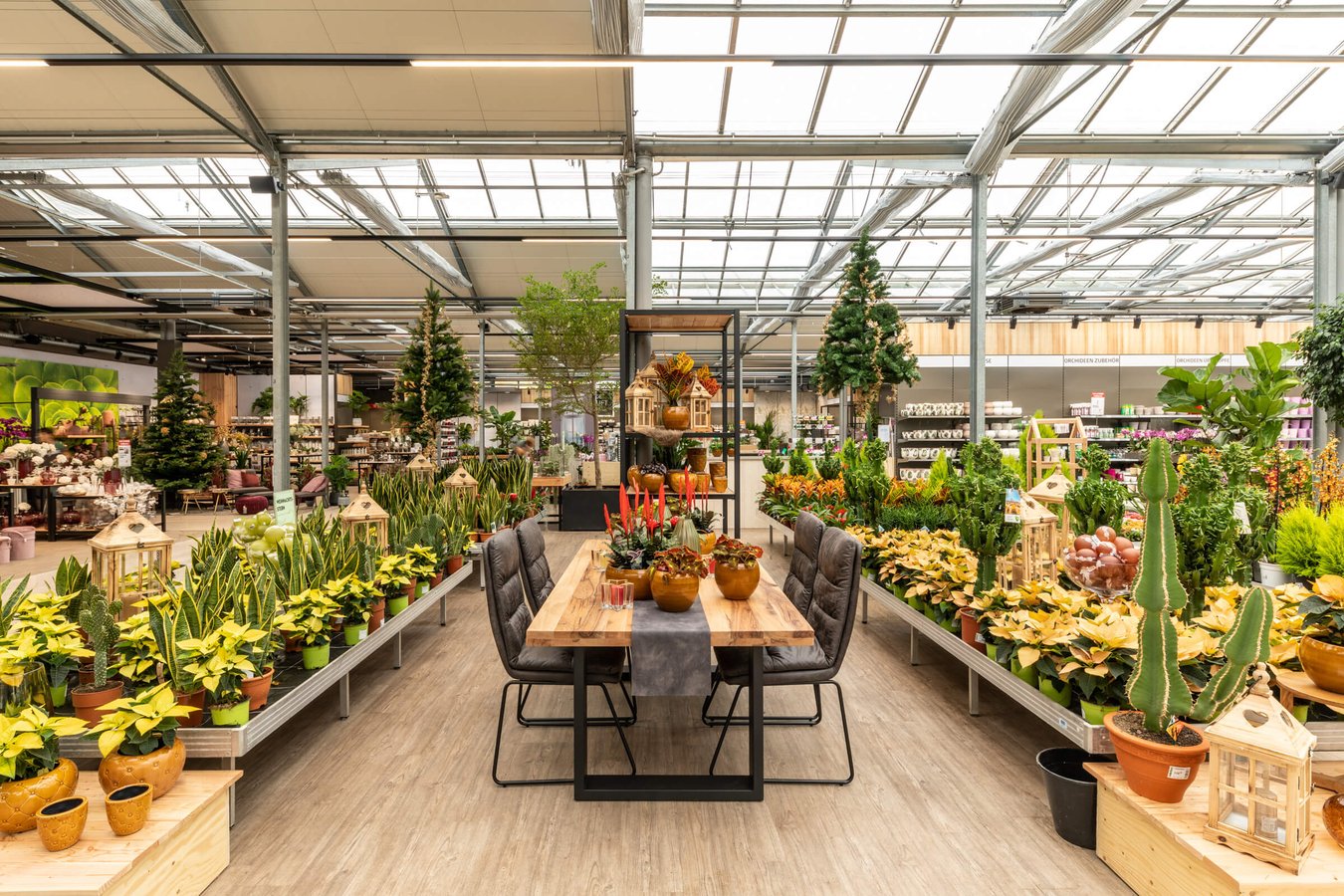 Wie bellaflora mit REMIRA LOGOMATE Bestände und Out-of-Stock reduziert